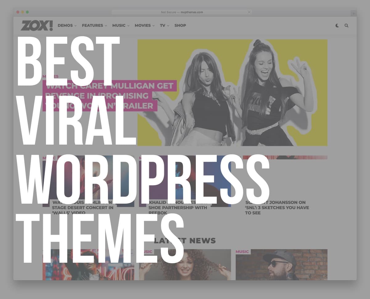 13 Best Viral WordPress Themes For Epic Buzz (In 2026)