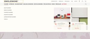 What Is a Mega Menu in Web Design? Benefits & Examples
