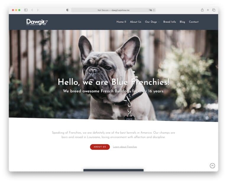 12 Best WordPress Dog Themes (In 2025) - ULTIDA