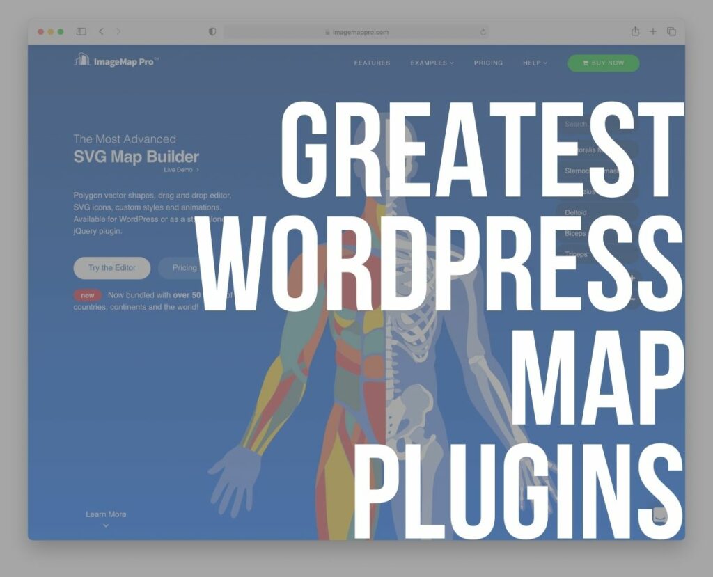 13 Best Plugins To Add Maps To WordPress (In 2025)