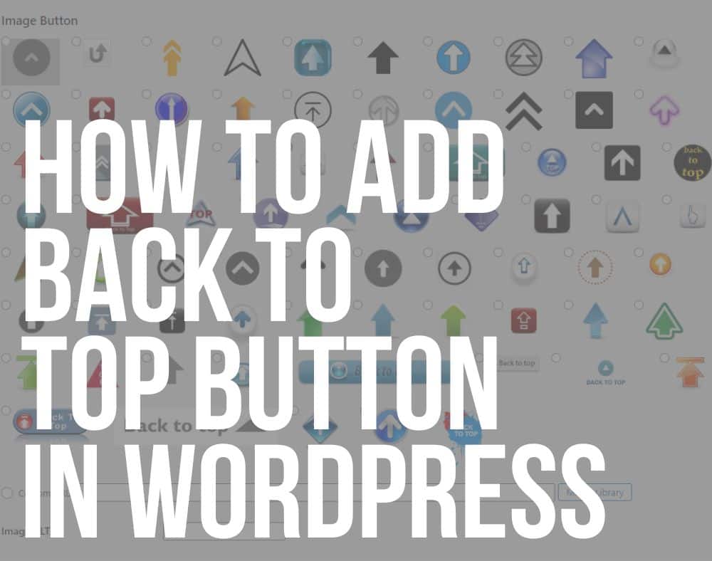 How To Add Back To Top Button In WordPress ULTIDA