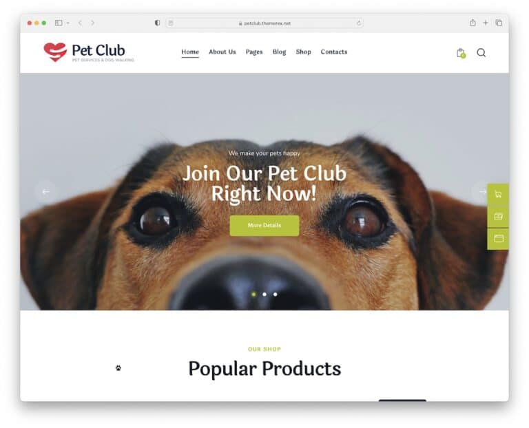 11 Best Pet Shop WordPress Themes Customers Trust (2026)