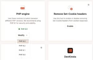 How To Check WordPress PHP Version (4 Ways) - ULTIDA